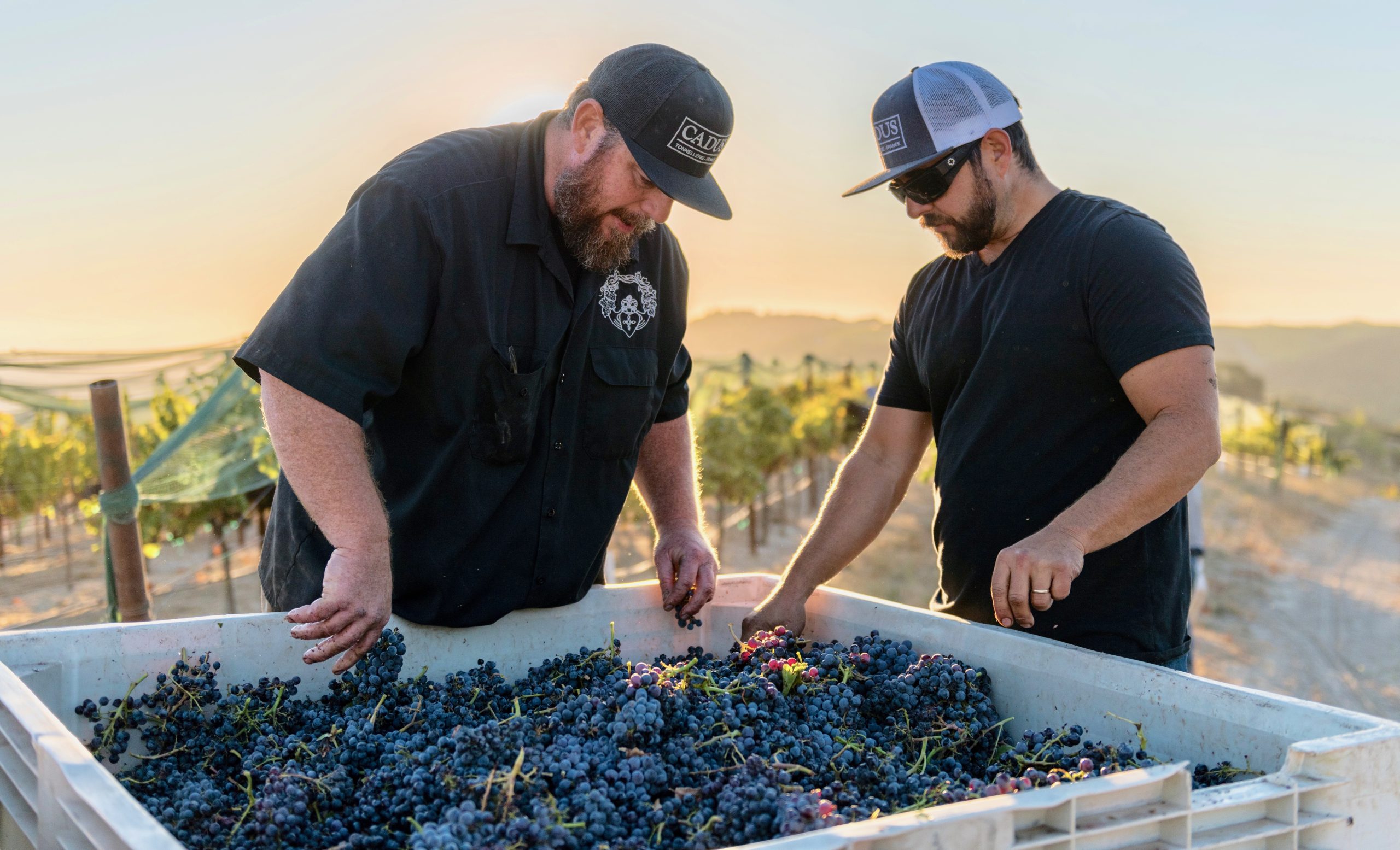 SAMPL. Passport to Paso Wines • Paso Robles Press SAMPL. Passport to Paso Wines • Paso Robles Press